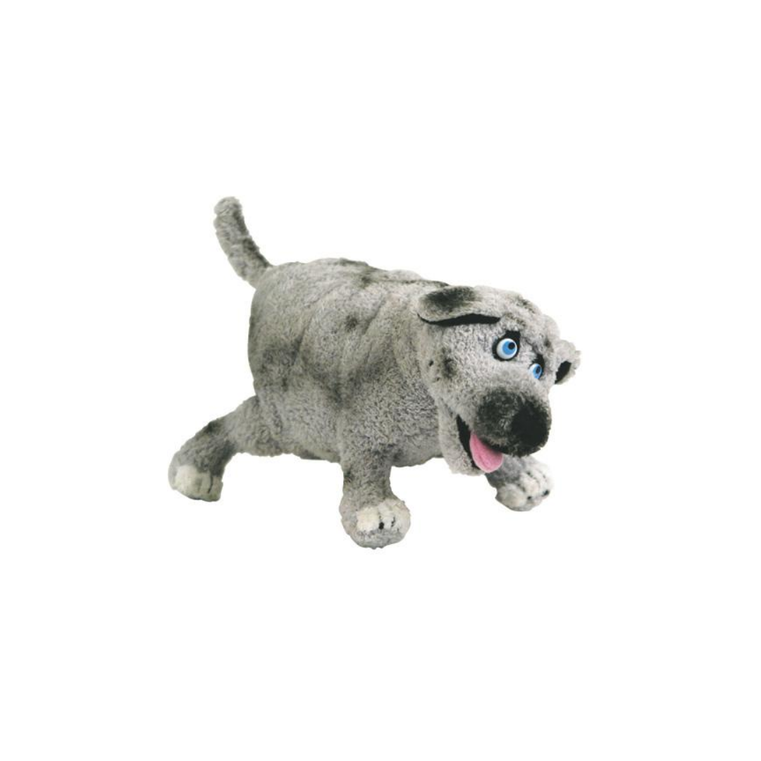 Walter the Farting Dog Stuffed Animal | Bing's Des Moines